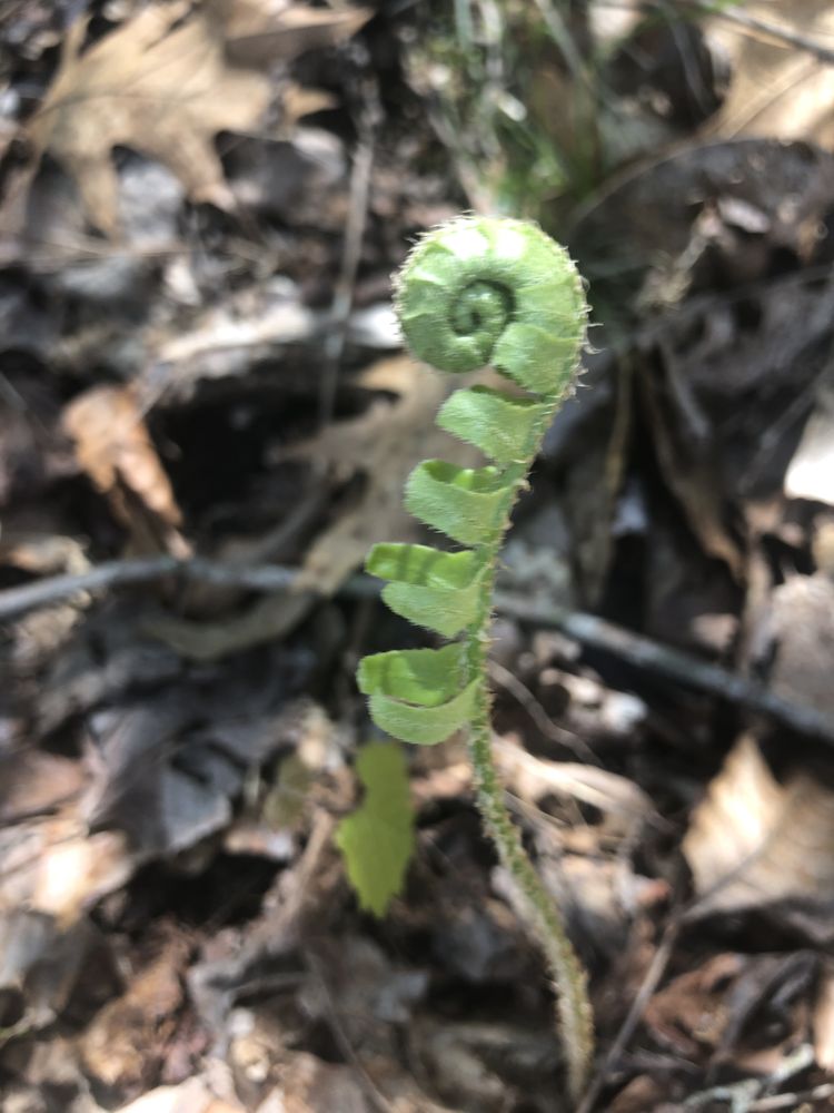 ELACHEE NATURE SCIENCE CENTER - Updated October 2025 - 68 Photos & 15 ...