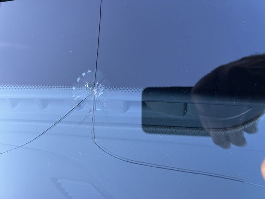 TAYLOR FORD - Updated January 2026 - 34 Photos & 83 Verified Reviews ...