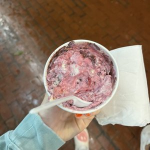 GOODBERRY’S FROZEN CUSTARD - 55 Photos & 39 Reviews - 11736 Retail Dr ...
