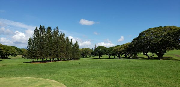 HAWAII COUNTRY CLUB - 36 Photos & 64 Reviews - Golf - 94-1211 Kunia Rd ...