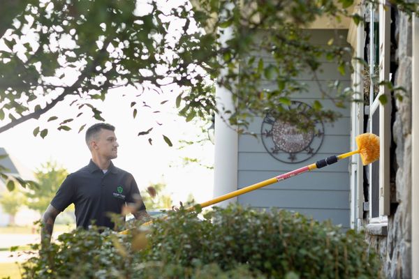 TOP TIER PEST SOLUTIONS - Updated December 2025 - 1714 Moran Dr ...