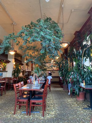 COSTA’S RESTAURANT - 150 Photos & 369 Reviews - 4559 University Way NE ...