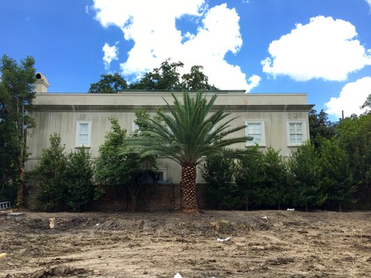 BAYOU TREE SERVICE - Updated November 2025 - 46 Photos & 11 Reviews ...