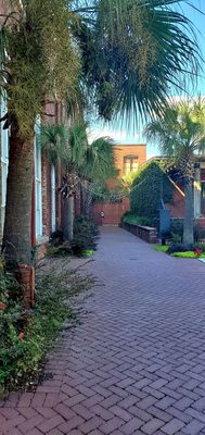 701 CENTER FOR CONTEMPORARY ART - Updated September 2024 - 701 Whaley ...