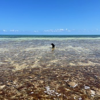 GEIGER BEACH - Updated October 2025 - 60 Photos - Boca Chica Rd, Key ...