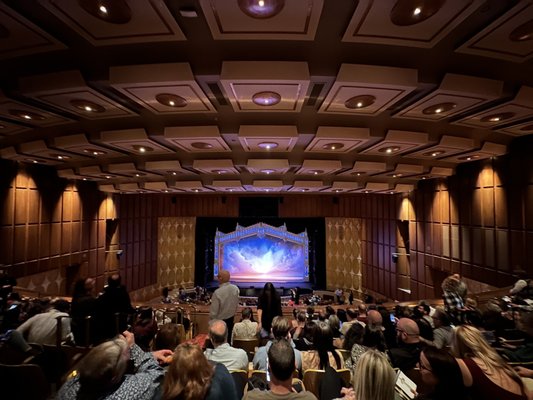 FISHER THEATRE - Updated October 2025 - 216 Photos & 137 Reviews - 3011 ...