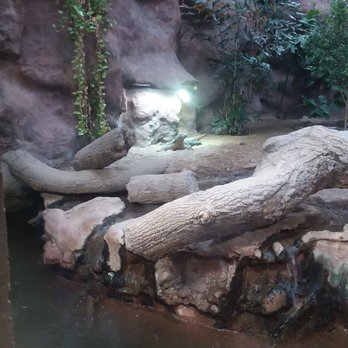 ABQ BIOPARK ZOO - Updated June 2024 - 865 Photos & 253 Reviews - 903 ...