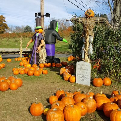 MARCH FARMS - 92 Photos & 31 Reviews - 160 Munger Ln, Bethlehem ...