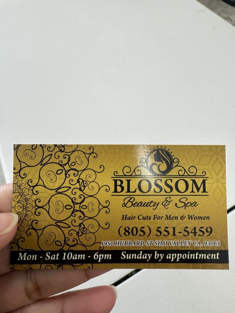 BLOSSOM BEAUTY AND SPA - Updated June 2026 - 1950 Hubbard St, Simi ...