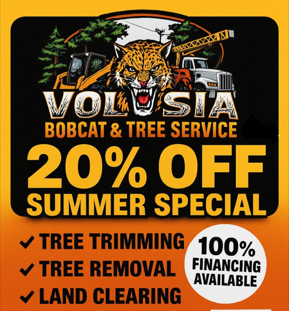 VOLUSIA BOBCAT & TREE SERVICE - Updated July 2025 - 15 Photos - 210 ...