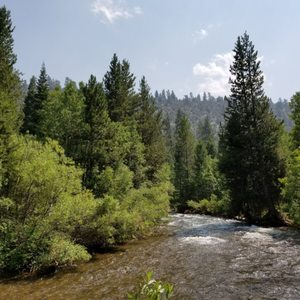 ROBINSON CREEK CAMPGROUND - Updated October 2025 - 23 Photos - Twin ...