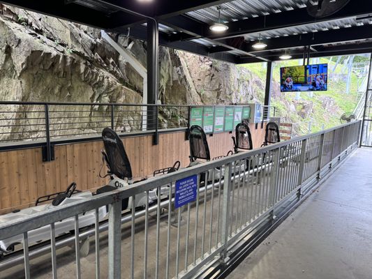 RIPLEY’S MOUNTAIN COASTER - Updated June 2024 - 17 Photos - 386 Pkwy ...