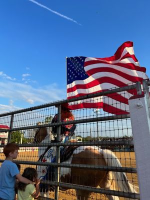 COWTOWN RODEO - Updated October 2025 - 117 Photos & 42 Reviews - 780 Rt ...