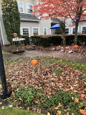 SAINT ELIZABETH HOME - Updated January 2026 - 10 Photos - 1 Saint ...