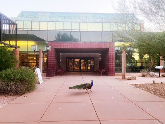GLENDALE PUBLIC LIBRARY - Updated November 2024 - 74 Photos & 19 ...