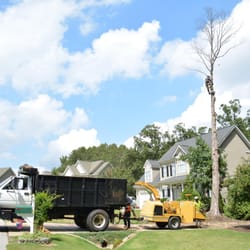 Best Tree Experts Near Me - November 2024: Find Nearby Tree Experts ...