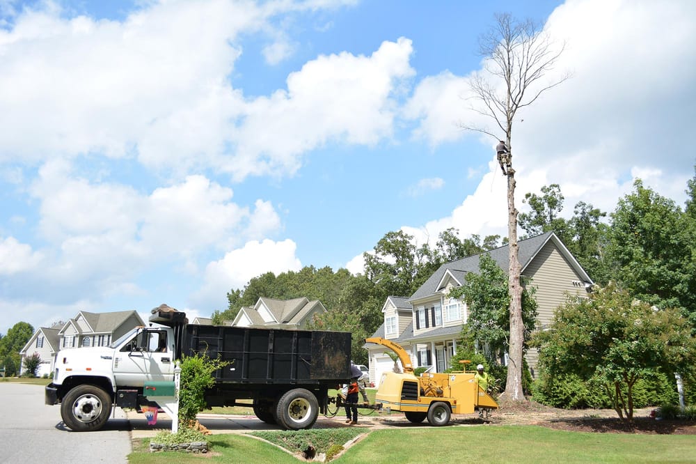 ALPHA TREE SERVICES - Updated February 2025 - 52 Photos & 13 Reviews ...