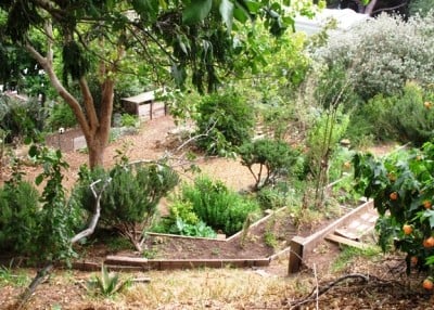 DOGPATCH/MILLER MEMORIAL GARDEN - Updated October 2025 - Brewster St And Rutledge St, San ...