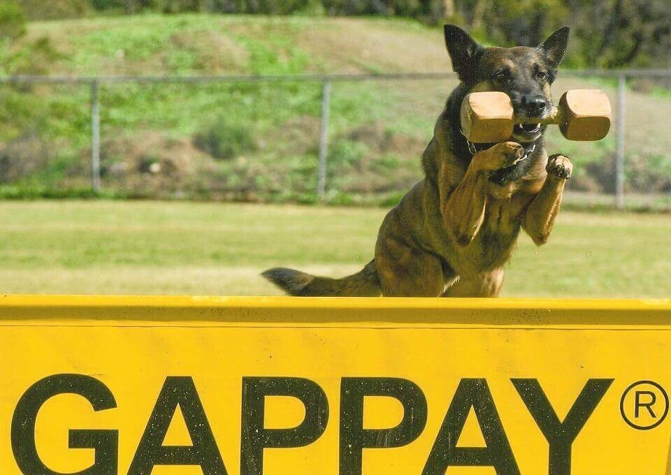 ATHOS TRAINING SOLUTIONS - Updated May 2024 - 18 Photos - 916 Wickwood ...