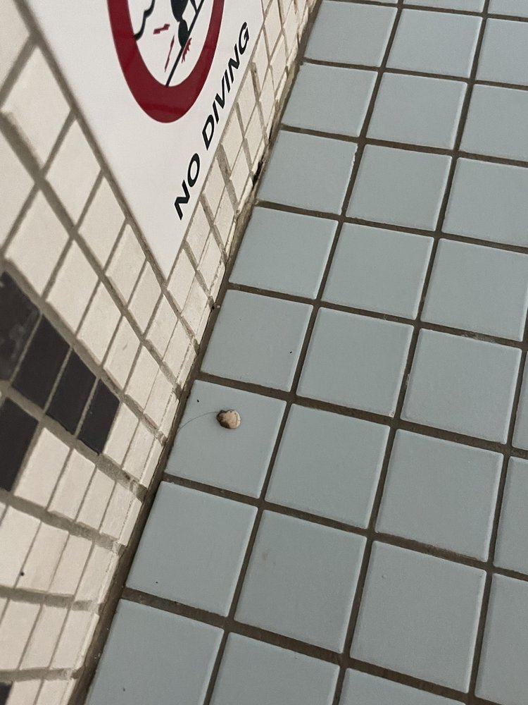 FITNESS FORMULA CLUBS WEST LOOP - Updated December 2025 - 57 Photos ...