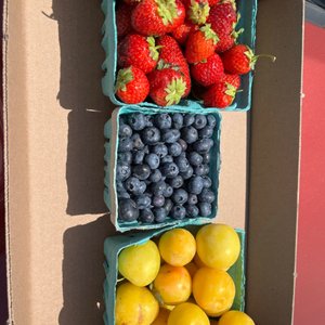 WINDY HILL ORCHARD - Updated September 2025 - 53 Photos & 14 Reviews ...