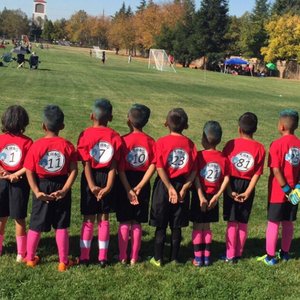 ARLENE HEIN ELEMENTARY SCHOOL - Updated July 2025 - 6820 Bellaterra Dr ...