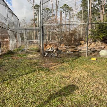 CATTY SHACK RANCH WILDLIFE SANCTUARY - Updated July 2025 - 690 Photos ...