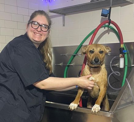 BARK & BUBBLE - Updated February 2025 - 21 Photos - 301 N Pearl St, Ellensburg, Washington - Pet ...