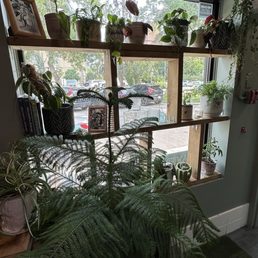 MAVEN - Updated December 2025 - 206 Photos & 124 Reviews - 1006 17 Ave ...