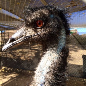 LOMBARDI RANCH - Updated January 2026 - 17 Photos & 17 Reviews - 29527 ...