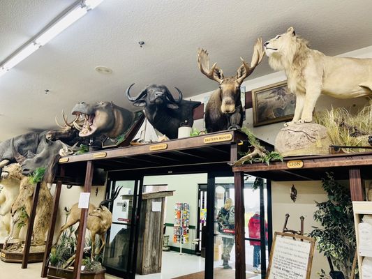 GRABILL COUNTRY SALES - Updated February 2025 - 57 Photos & 14 Reviews ...