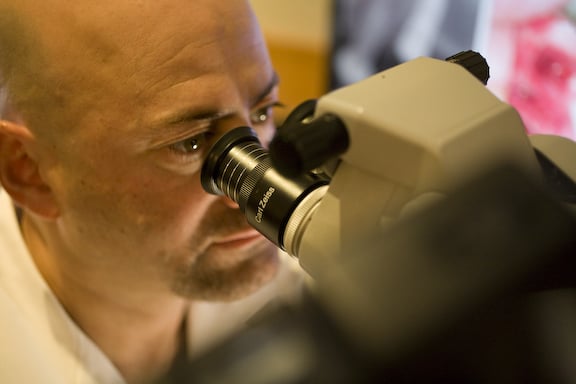 PAUL ANSTEY, DDS - Updated October 2025 - 30 Photos & 27 Reviews - 436 ...