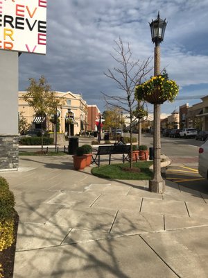 VILLAGE OF ROCHESTER HILLS - 51 Photos & 20 Reviews - 104 N Adams Rd ...