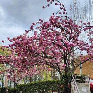 NEIGHBORCARE HEALTH AT PIKE PLACE MARKET - Updated January 2026 - 24 ...