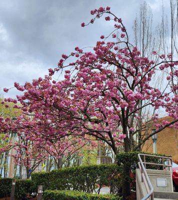 PACIFIC MEDICAL CENTERS - BEACON HILL - Updated July 2025 - 41 Photos ...