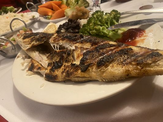 LUSO RESTAURANT - Updated November 2025 - 124 Photos & 183 Reviews ...