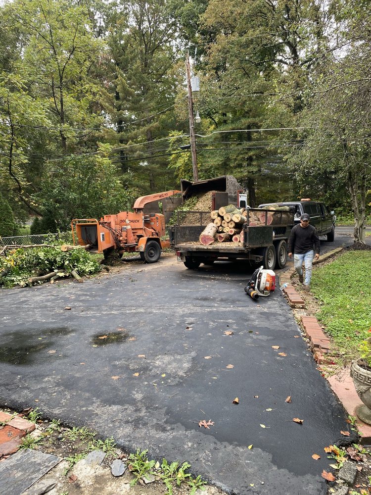 J&M TREE SERVICES - Updated August 2025 - 45 Photos - Fredericksburg ...