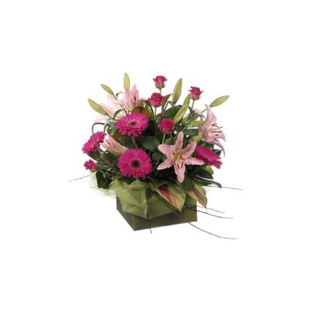 THE LUSH LILY | 395 Hamilton Rd, Chermside Queensland, Australia ...