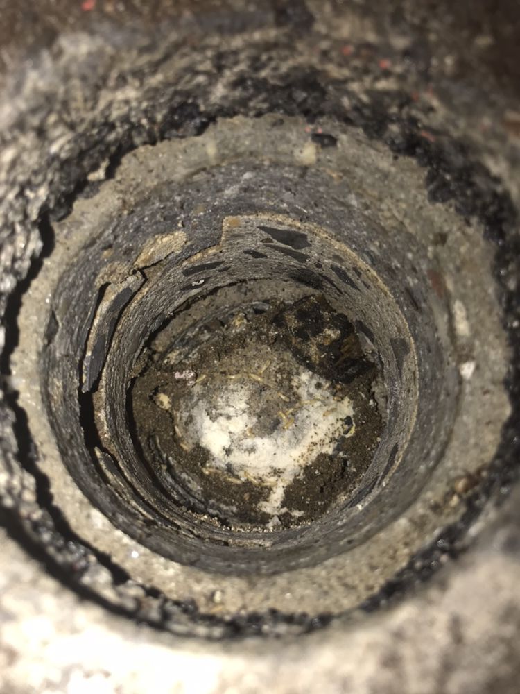 PRESTIGE PEST MANAGEMENT LLC - Updated June 2024 - 13 Photos - 168-11 ...