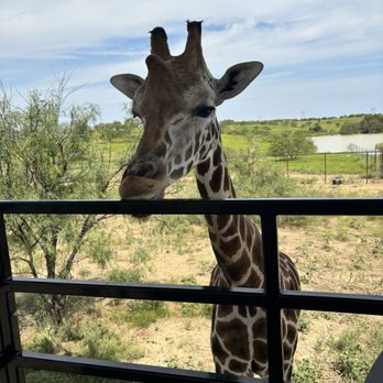 BLUE HILLS RANCH - Updated January 2025 - 216 Photos & 73 Reviews ...