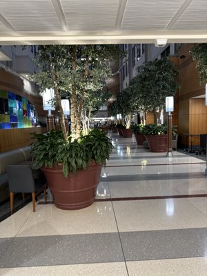 IU HEALTH NORTH HOSPITAL - Updated December 2025 - 50 Photos & 63 ...