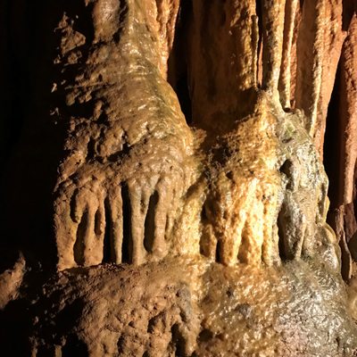GRAND CAVERNS - 358 Photos & 158 Reviews - 5 Grand Caverns Dr, Grottoes ...