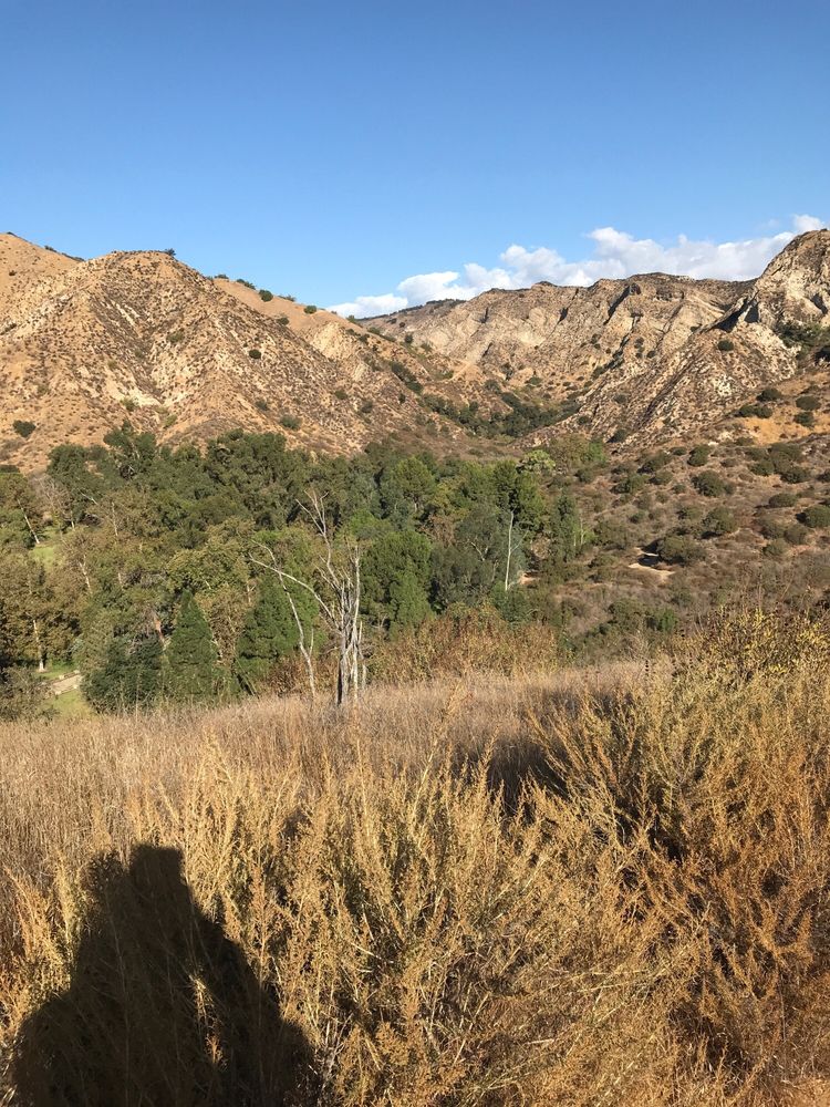 THE LOOP TRAIL - Updated July 2025 - 15 Photos - O'Melveny Park, Los ...