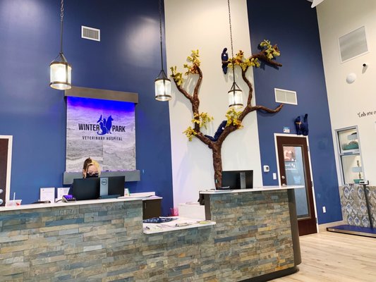 WINTER PARK VETERINARY HOSPITAL - Updated December 2025 - 45 Photos ...