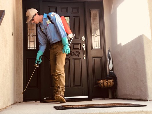 GREEN FLASH PEST & TERMITE CONTROL - Updated December 2025 - 26 Photos ...