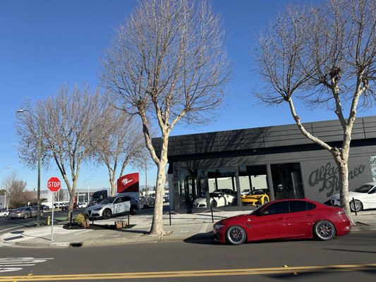 Alfa Romeo Stevens Creek