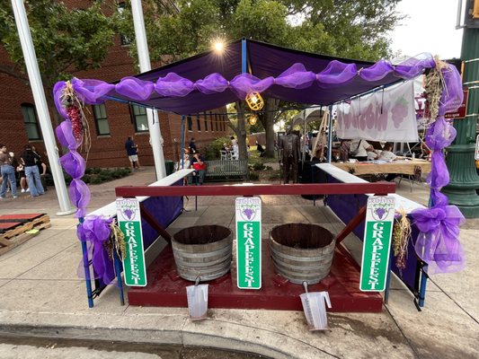 GRAPEFEST - Updated September 2025 - 91 Photos & 39 Reviews - One ...