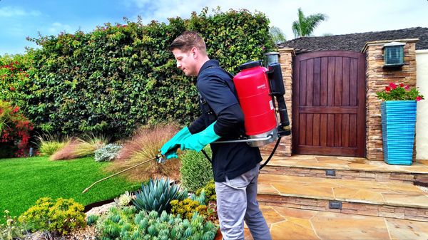 HOMESHIELD PEST CONTROL - Updated November 2025 - 233 Photos & 1239 ...