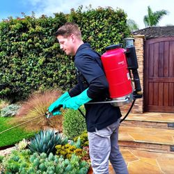 HOMESHIELD PEST CONTROL - 192 Photos & 535 Reviews - Pest Control ...