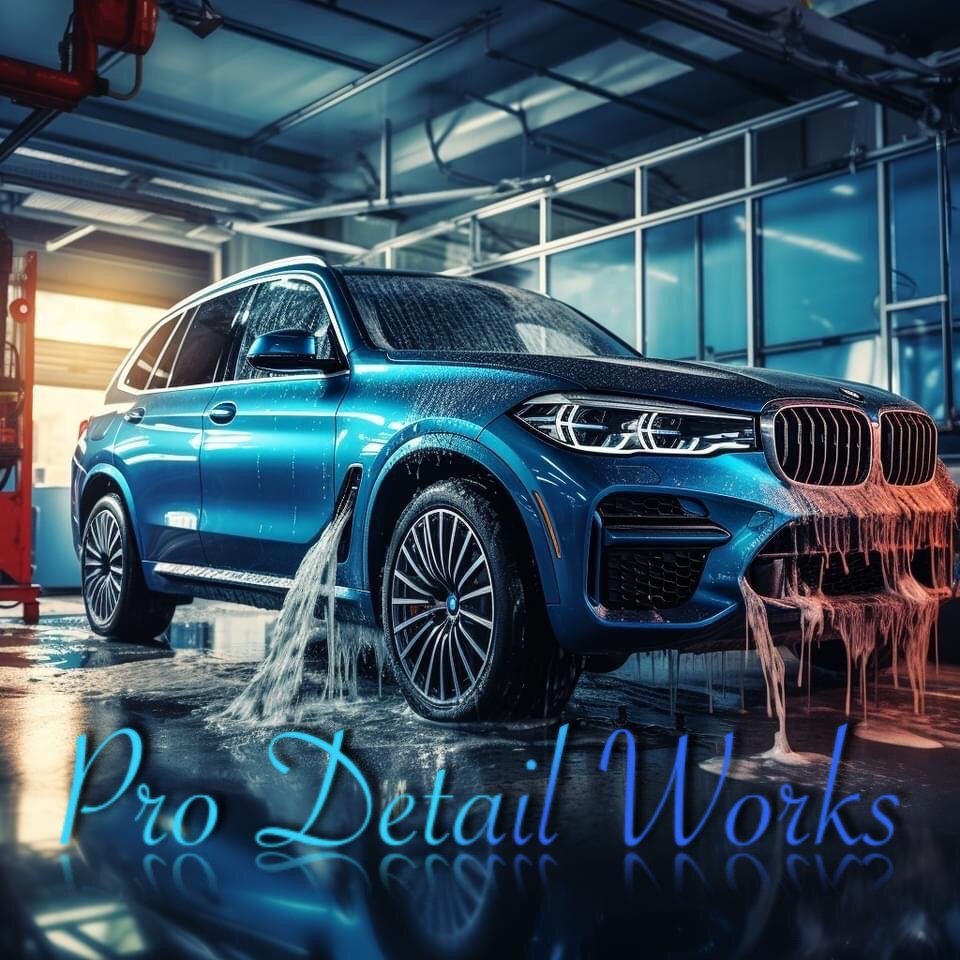 PRO DETAIL WORKS - Updated January 2025 - Ann Arbor, Michigan - Auto ...
